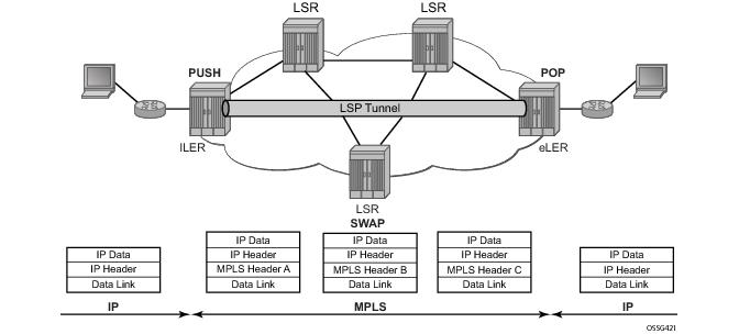 Point-to-Point LSPs